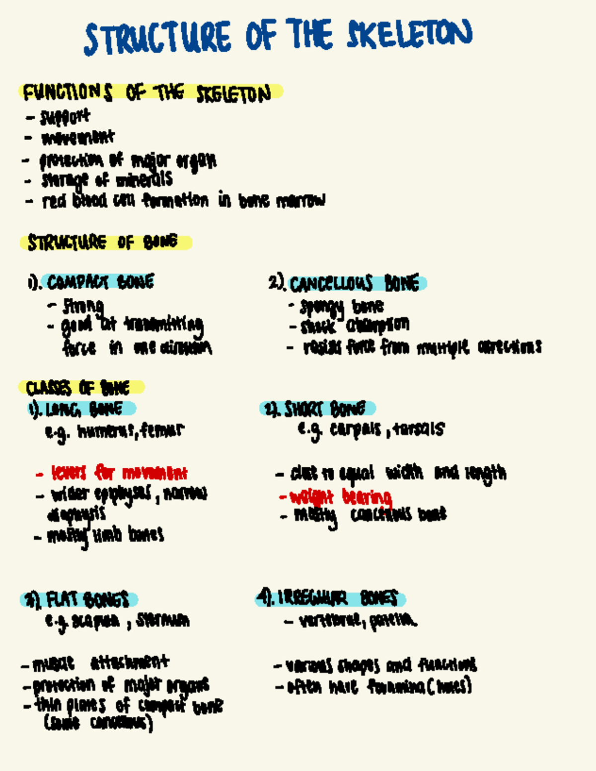HUBS191 skeleton notes: structure and functions of bones - Studocu