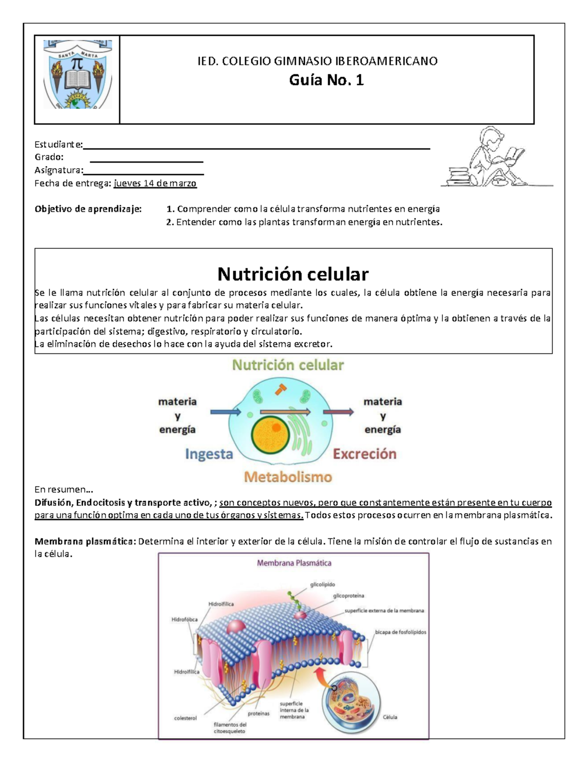 Guía N° 1 - Nutrición Celular en Ciencias Naturales - Quinto Grado ...