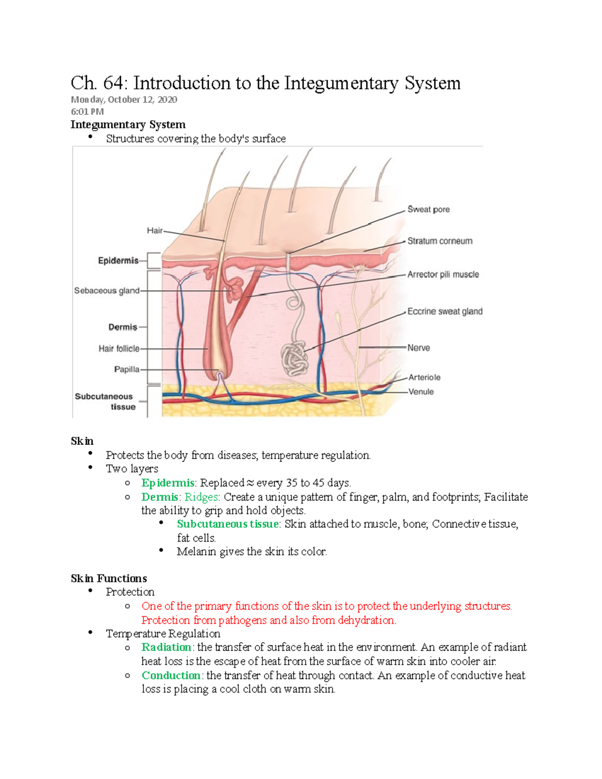 Ch. 64 - Intro to the Integumentary System: Functions & Assessments ...