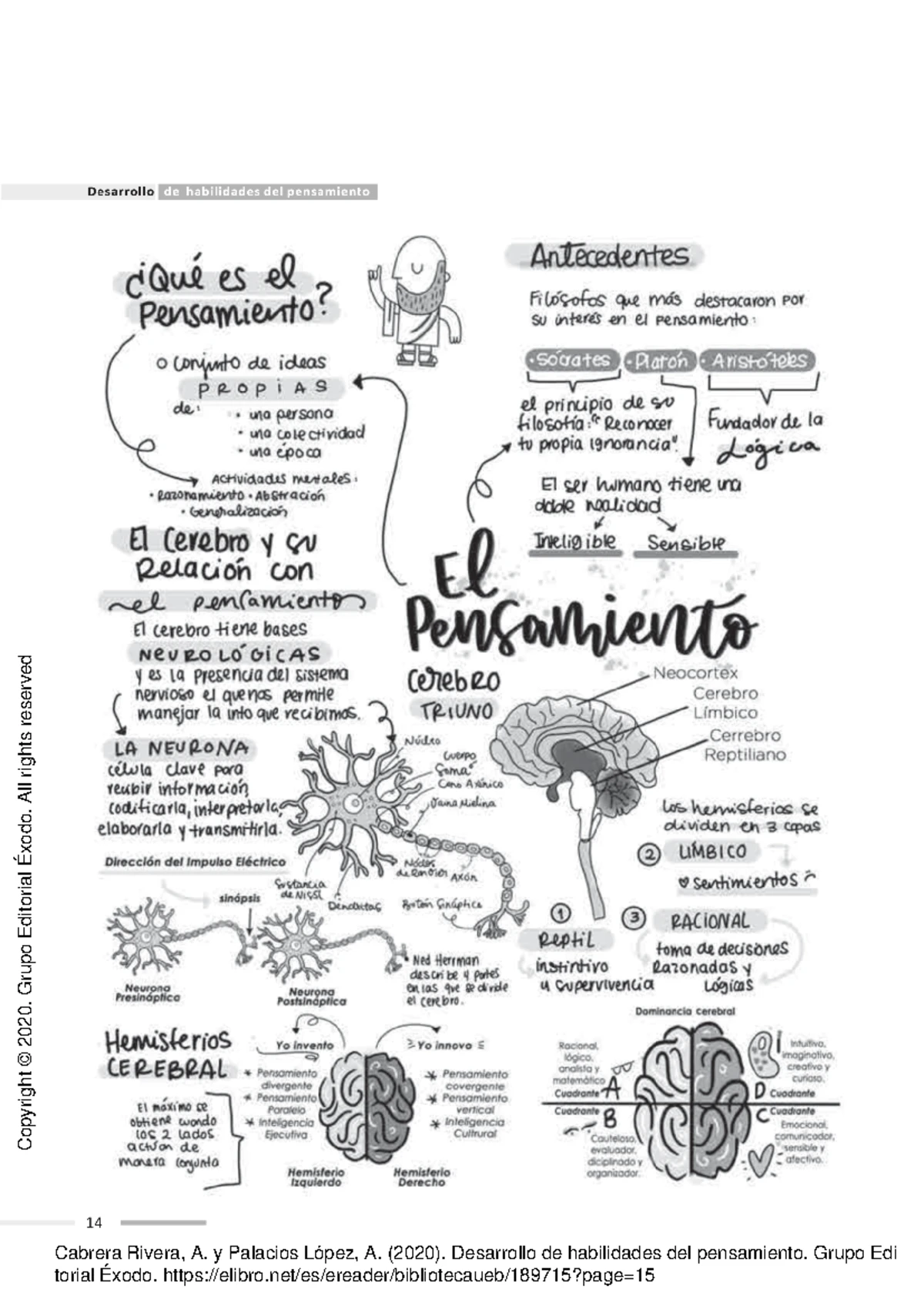 Ángulos Comunes del Pie Plano y Tratamiento Quirúrgico Calcáneo Stop ...