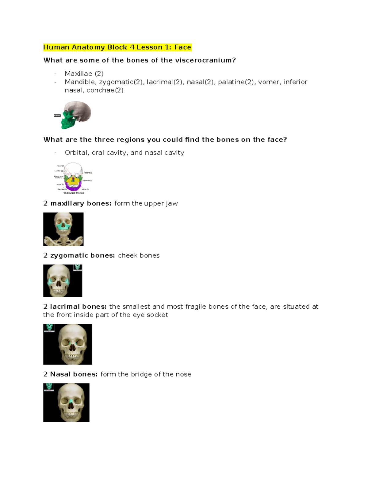 Human Anatomy Block 4 - Summary for Facial muscles and nerves - Human ...