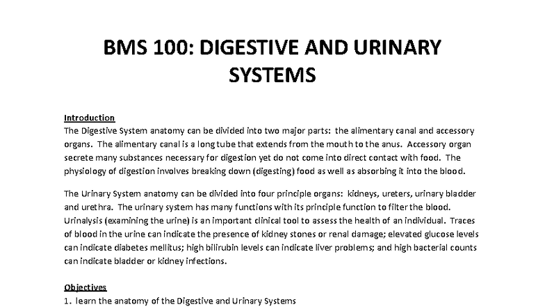 BMS 100: Lab 12 - Anatomy & Physiology of Digestive & Urinary Systems ...