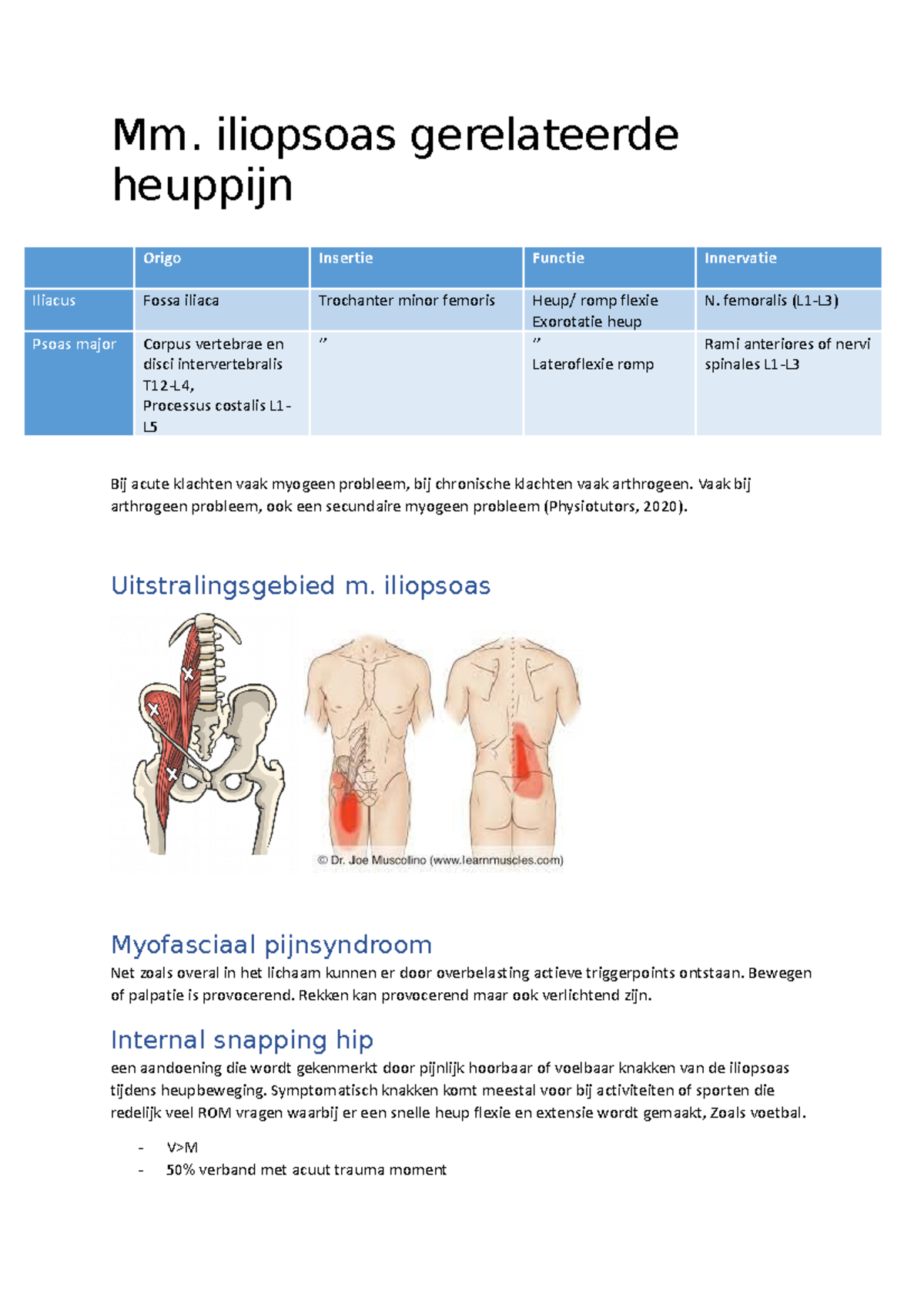 Iliopsoas Syndroom en Heuppijn: Oorzaken en Onderzoek - Studeersnel