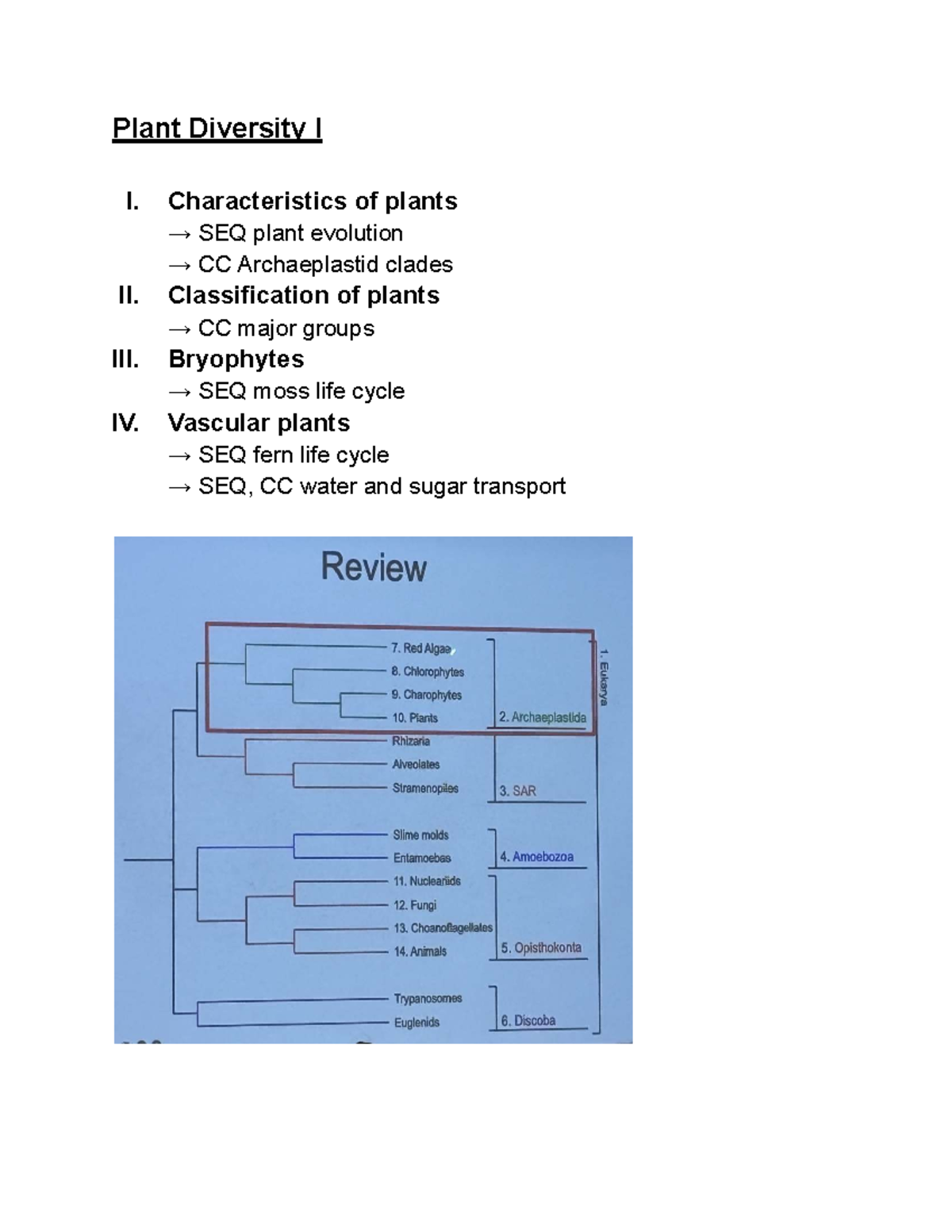 Gen Bio II Lecture 8: Plant Diversity I Overview and Key Concepts - Studocu