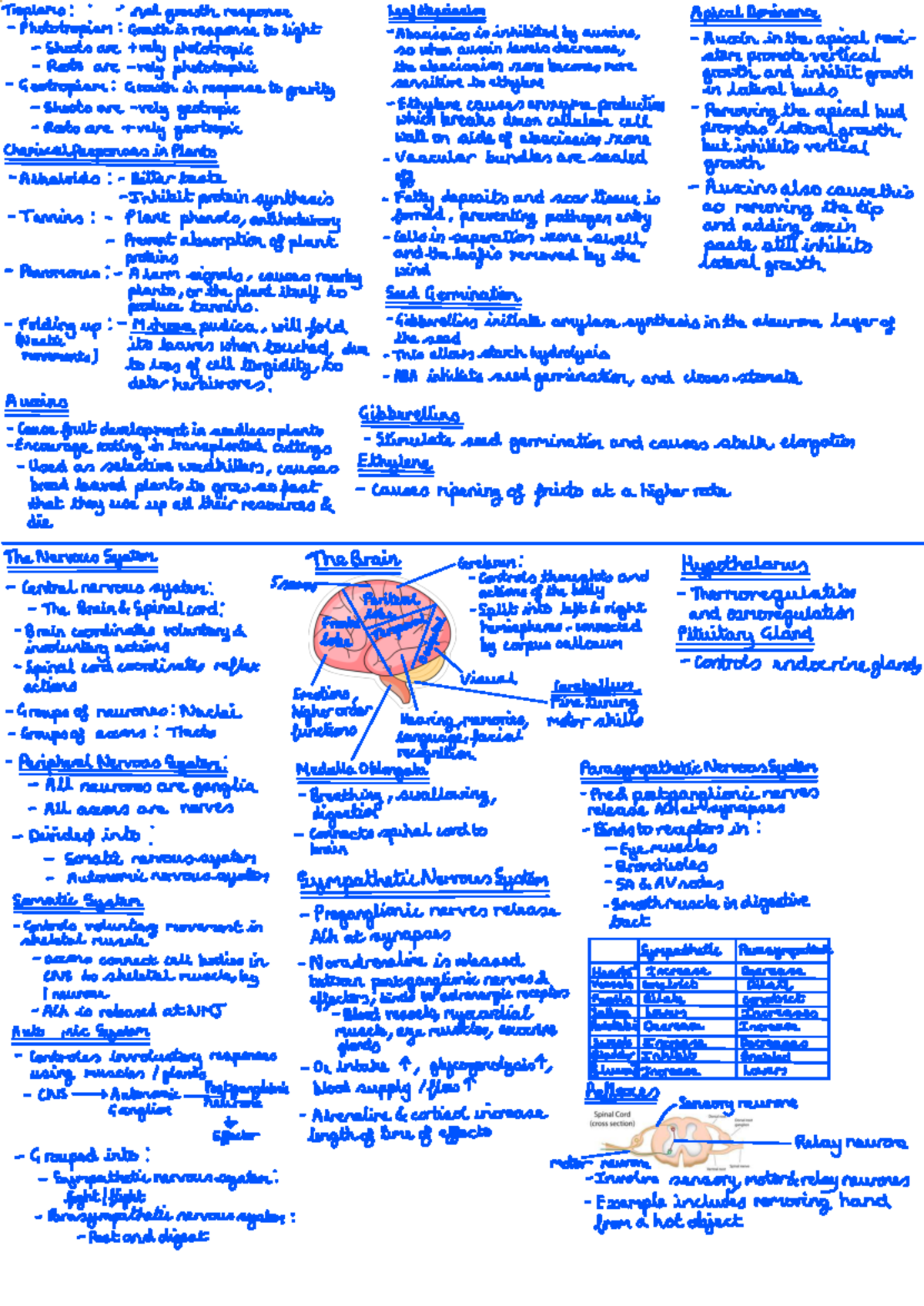 23. Plant & Animal Responses - Tropiams: nal growth response heal ...