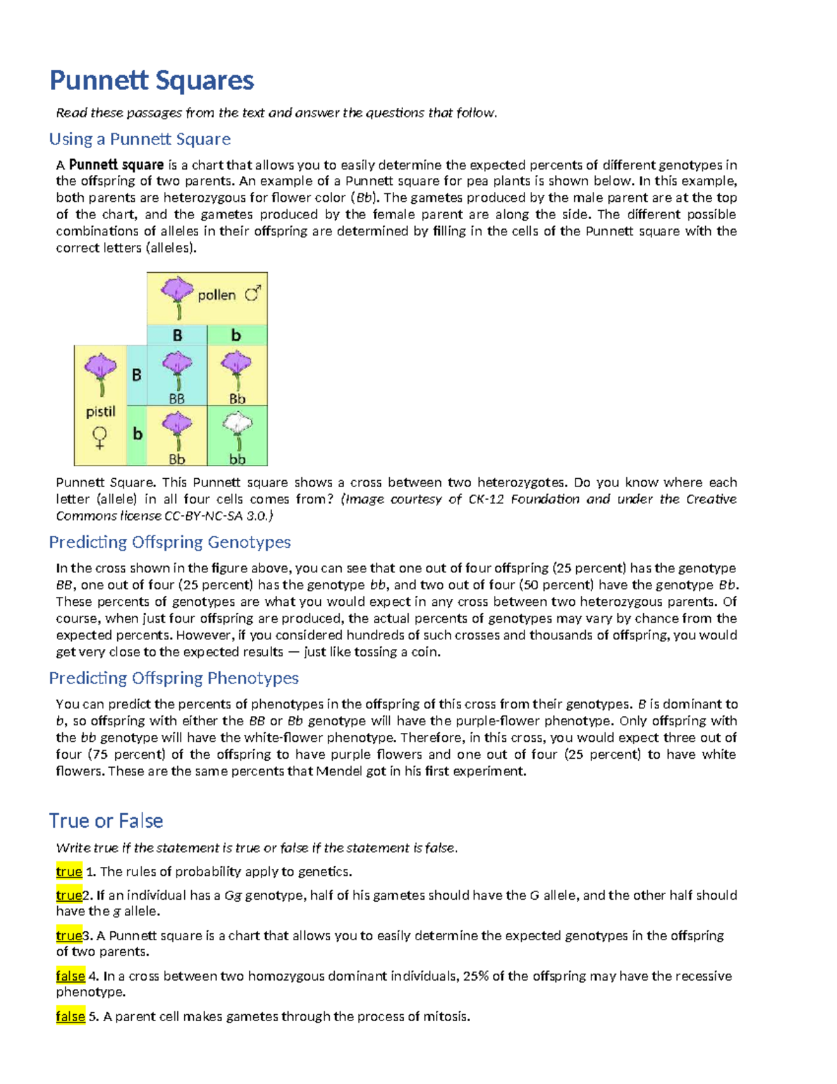Punnett Squares: Understanding Genetics and Answering Questions - Studocu