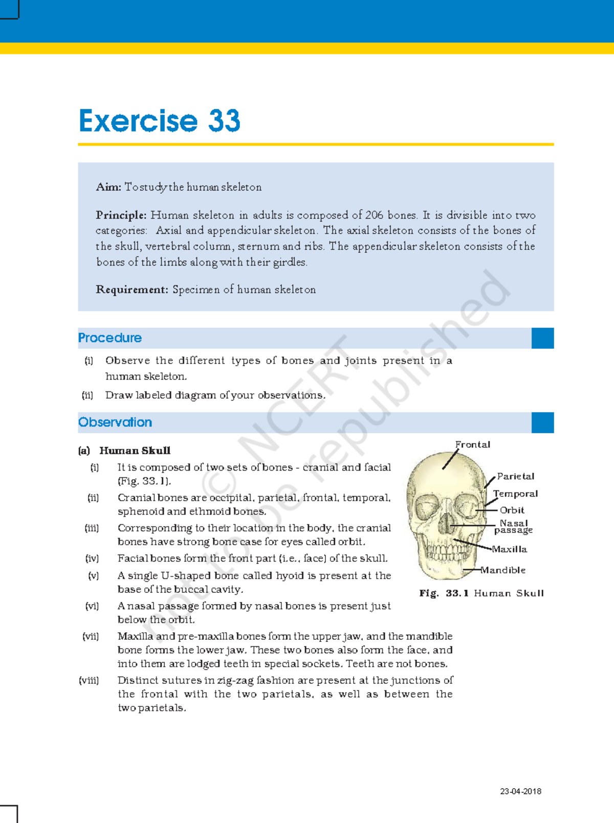 Human Skeleton: Observations on Bones & Joints - Exercise 33 - Studocu