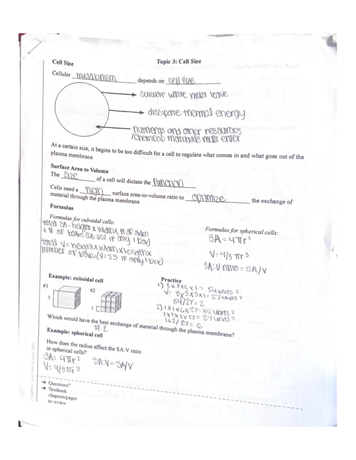 Topic 3 Cell Size - notes over unit 3 ap bio - Studocu