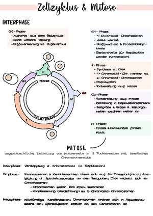 PMR Handout gesunde Lebensweise - Erfinder und Entwicklung Von Edmund ...