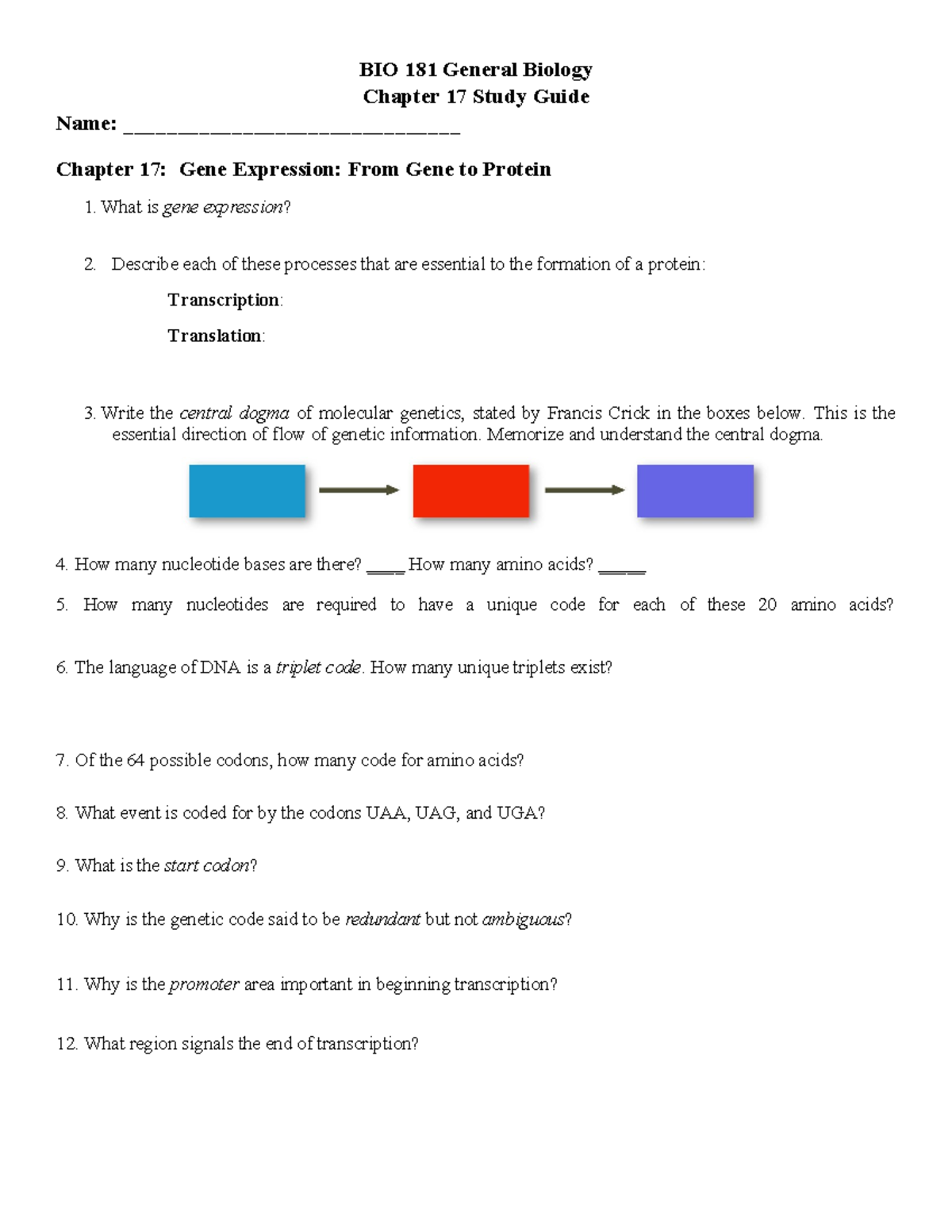 BIO 181 General Biology Chapter 17 study guide: Gene expression and ...