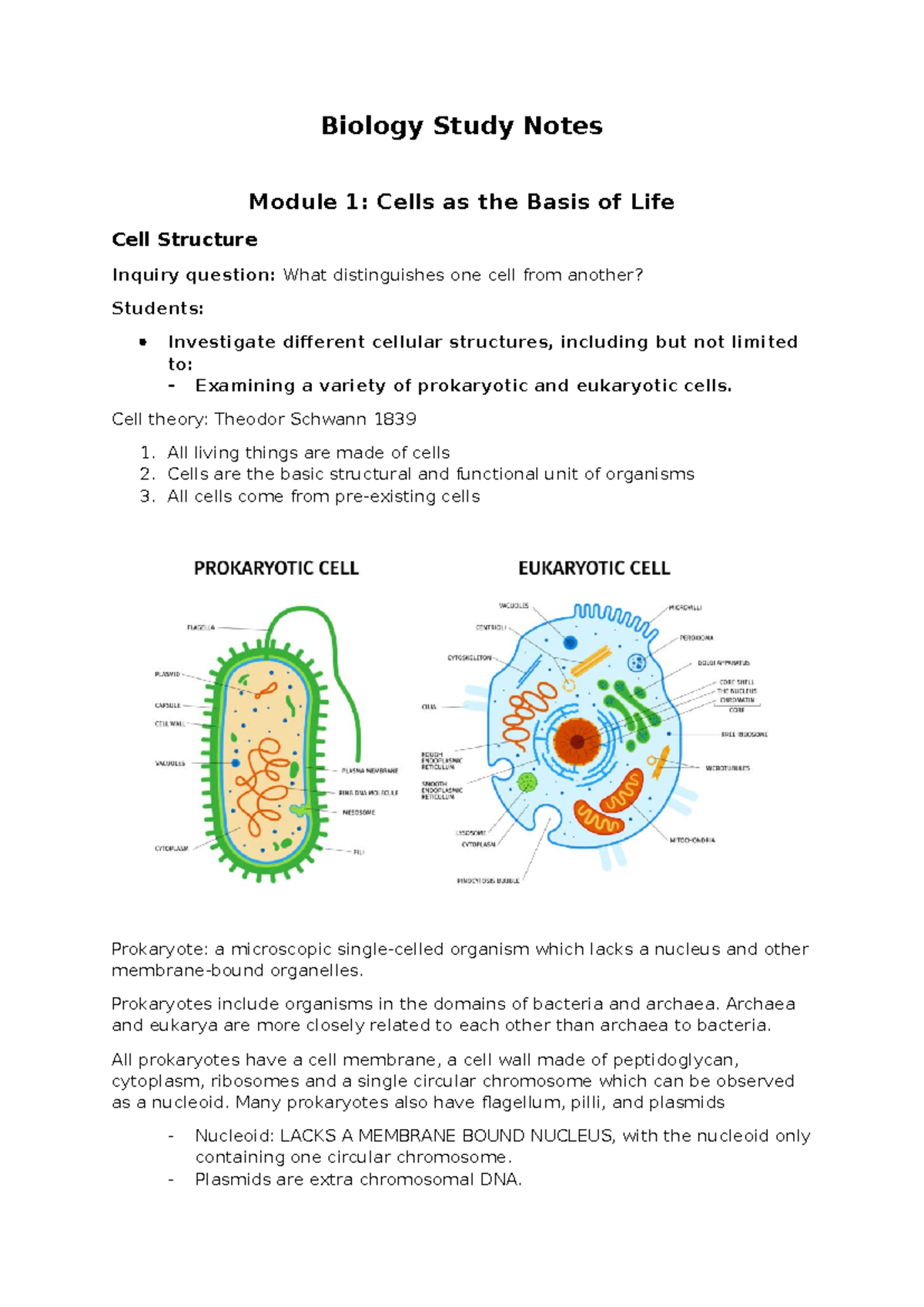 Biology Study Notes: Module 1 - Cells as the Basis of Life - Studocu