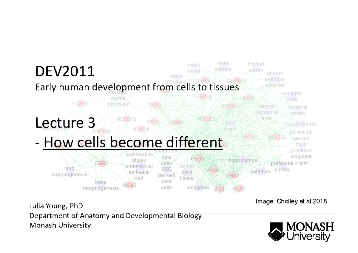 Cell Profile Report & Functions in Development (C2TD3tvxAL4) - Julia ...
