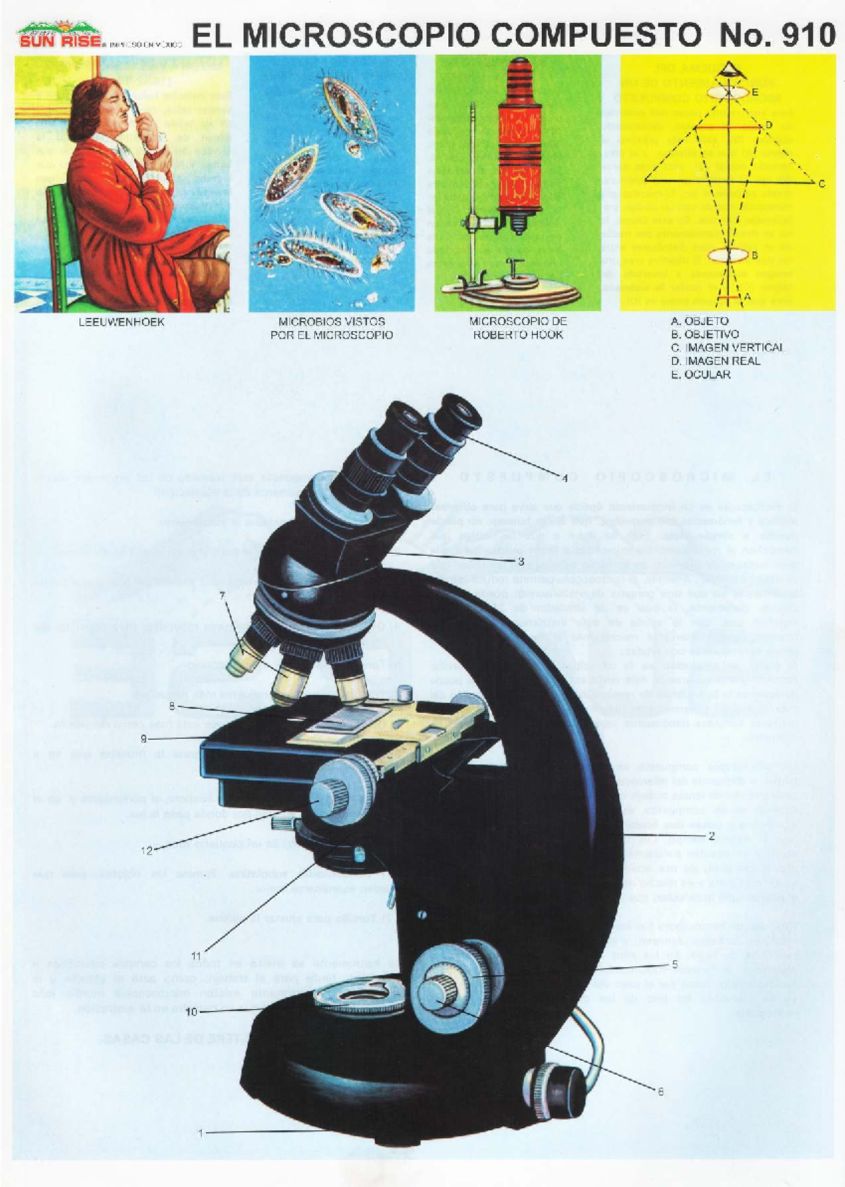 Estudio sobre el Microscopio Compuesto en México - Studocu