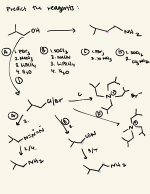 Amino Acids & Fischer Projections: CH3, CO2H, and pKa Notes (4 12 ...