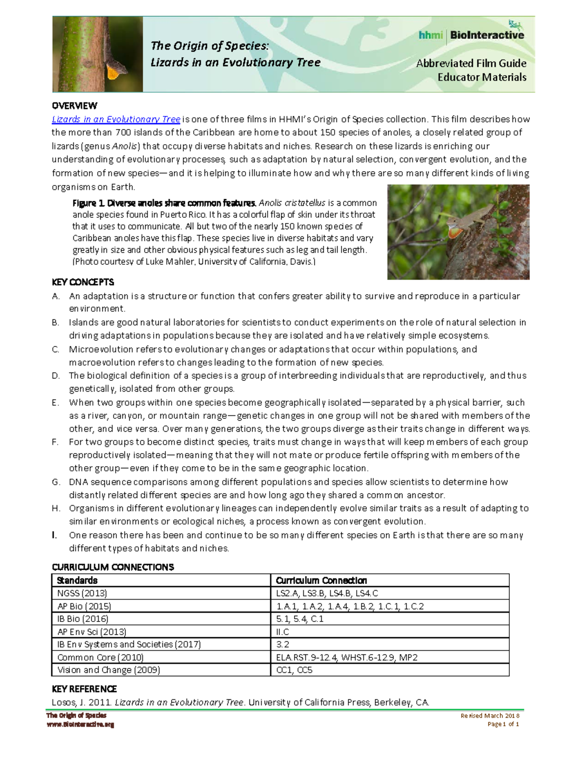 Lizard Evolution and Adaptation: A Film Guide (BIO 101) - Studocu