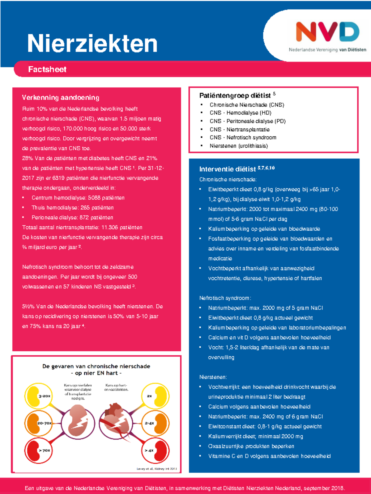 Factsheet Nierziekten: Chronische Nierschade en Behandelingen NVD ...
