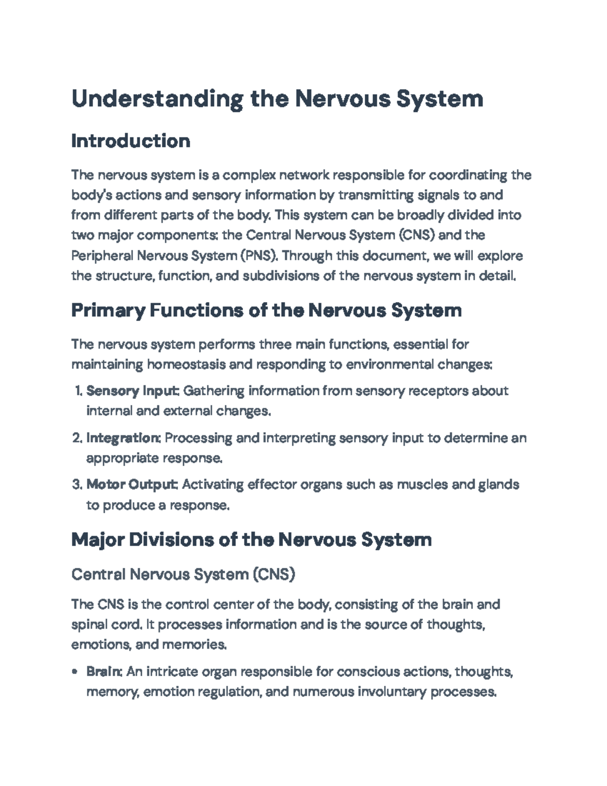Nervous System Overview: Structure, Functions, and Subdivisions - Understanding the Nervous ...