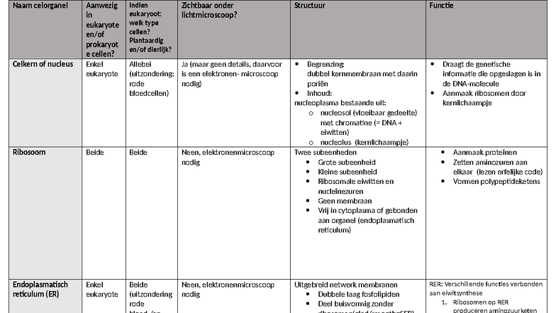 Schema van Celorganellen: Kern, Ribosomen en ER in Eukaryote Cellen ...
