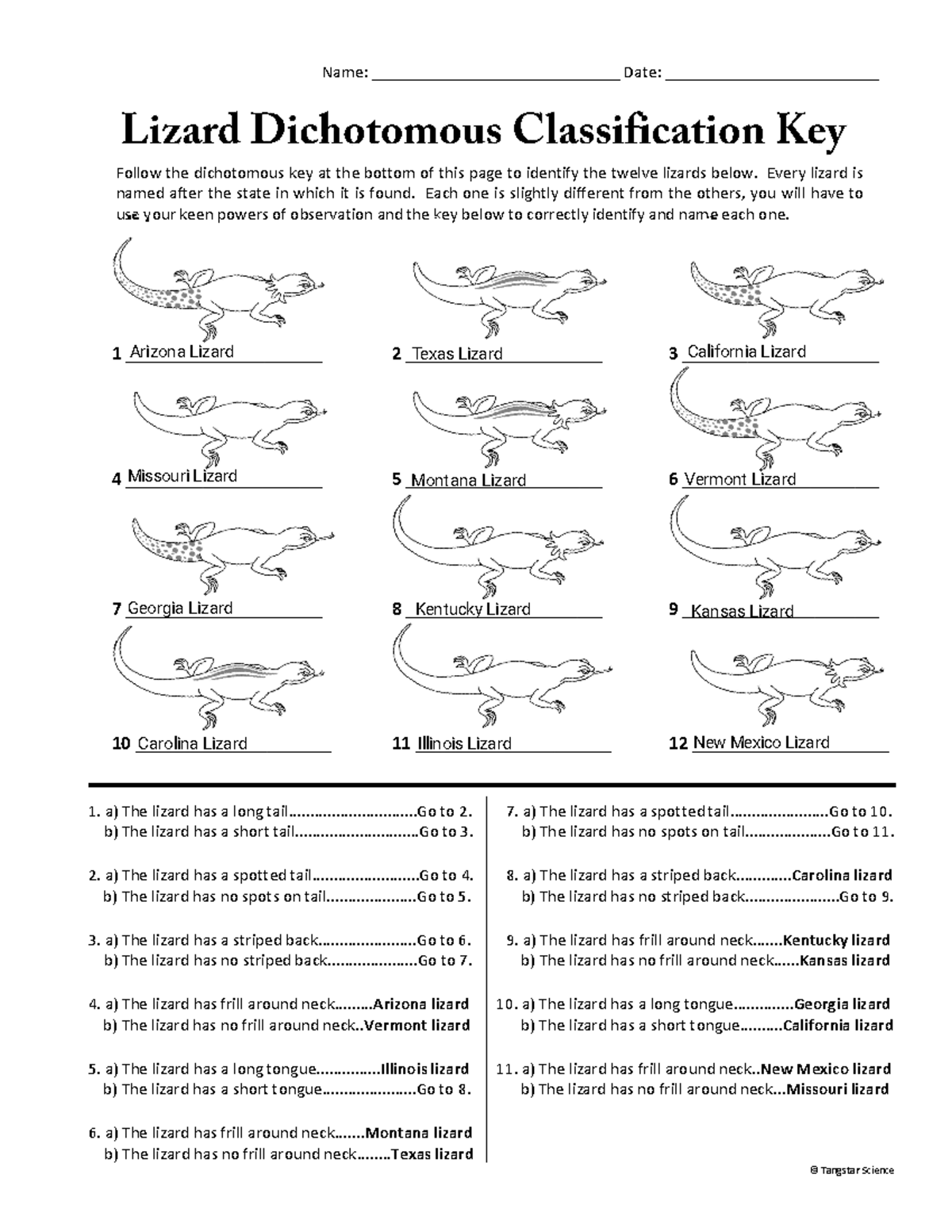 Lizard Classification: Identifying Lizards with a Dichotomous Key - Studocu