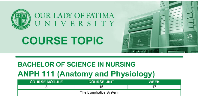 The Lymphatic System: Structure, Function, and Immune Responses (ANPH 111) - Studocu