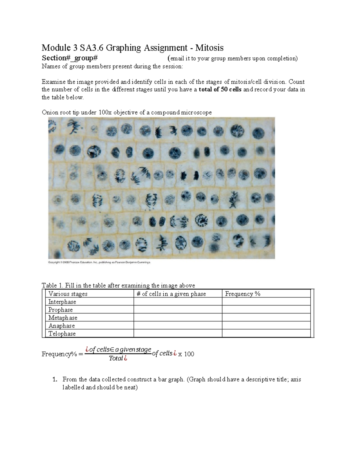 SA 3.6 Graphing Assignment: Analyzing Mitosis Stages - Studocu