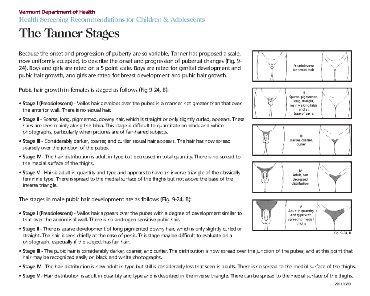 Tanner Stages of Puberty: Health Screening Guidelines for Children ...