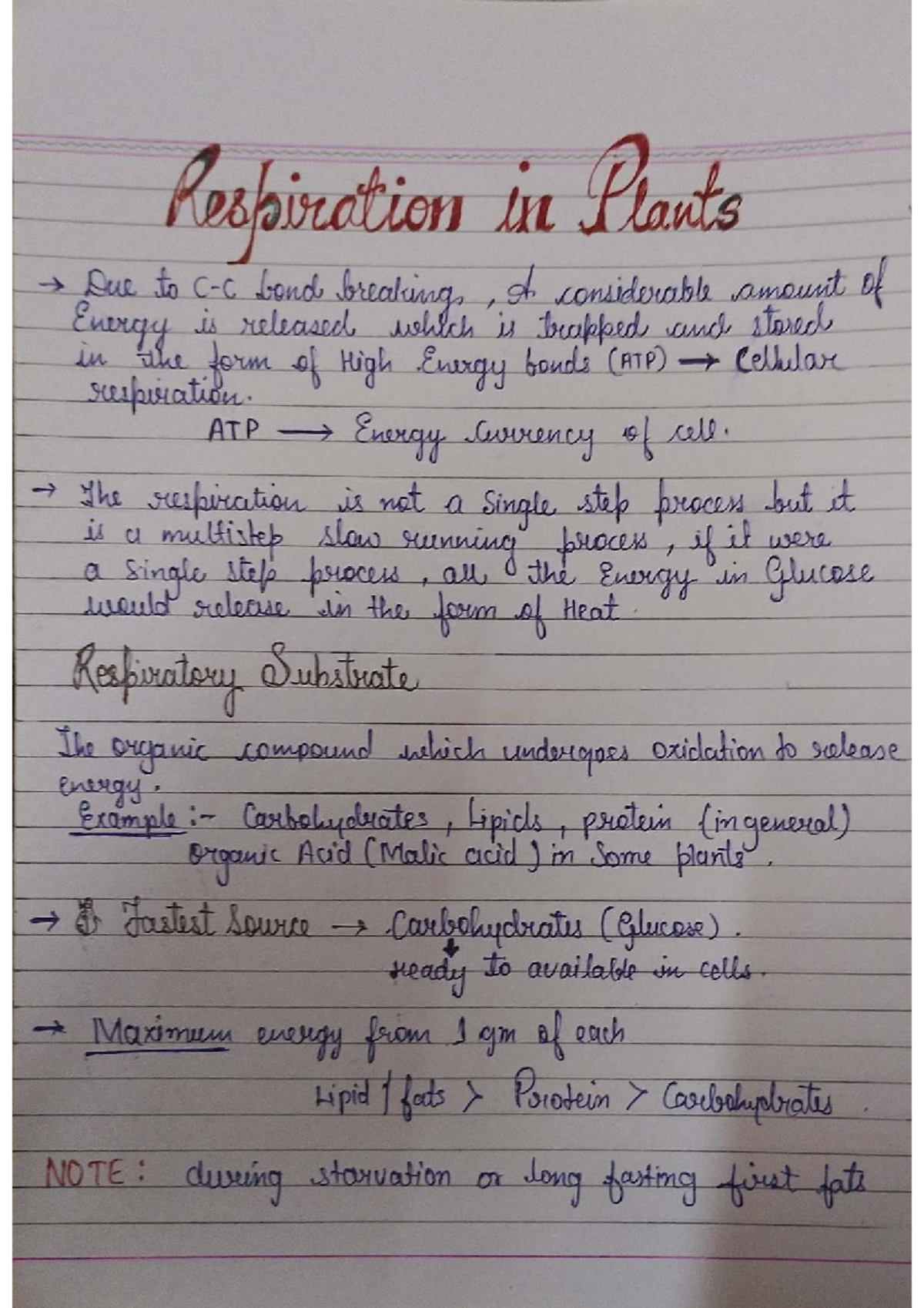 Class 11 - Respiration in Plants: Detailed Handwritten Notes - Studocu