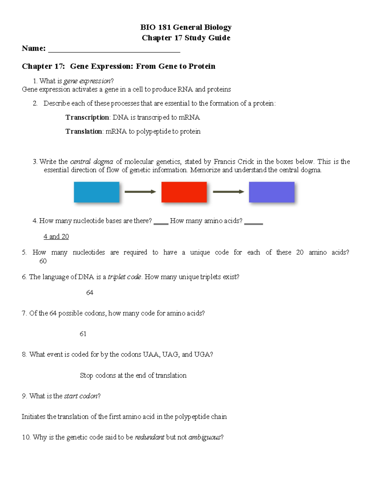 Chapter 17 Study Guide F23 - BIO 181 General Biology Chapter 17 Study ...