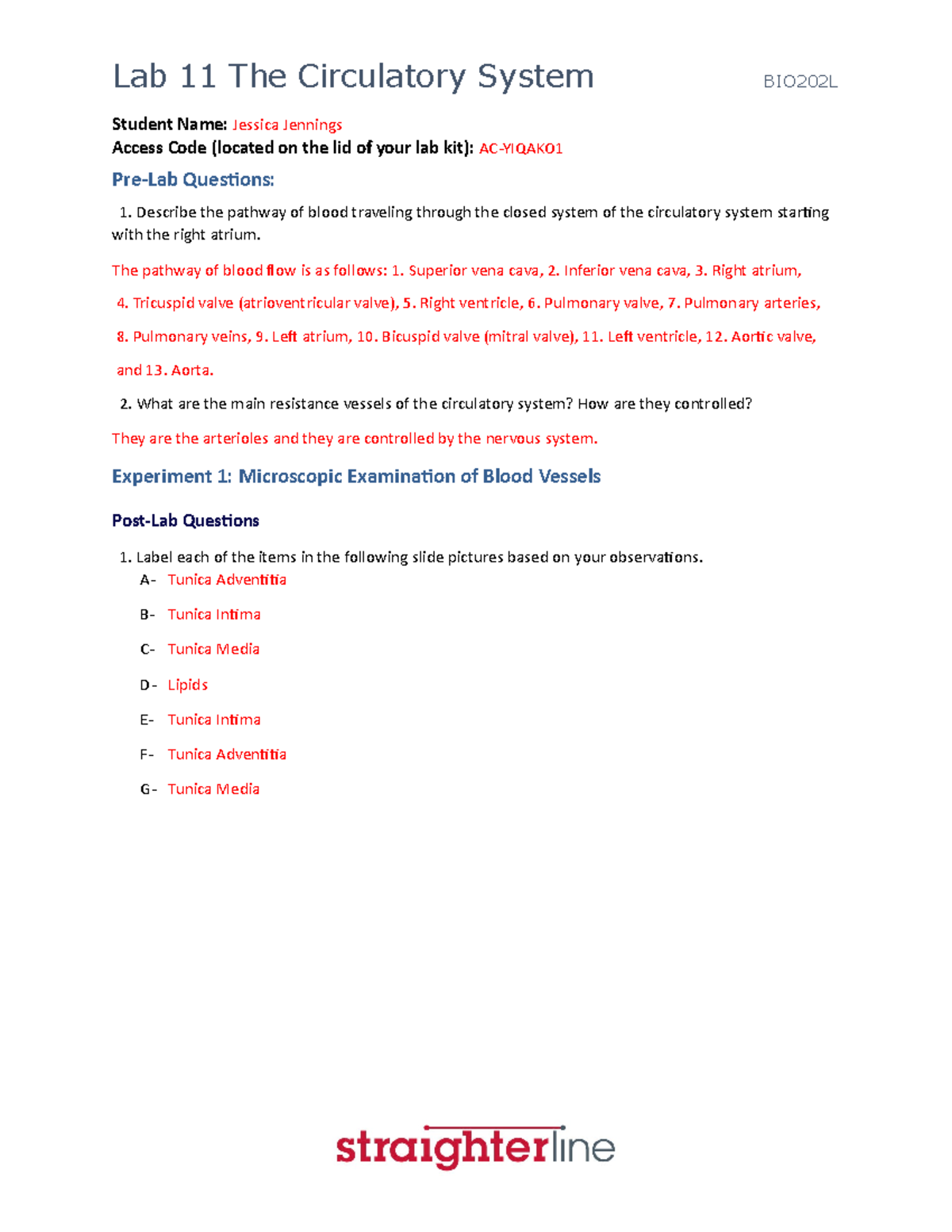 Lab 11: Exploring the Circulatory System - Detailed Observations ...