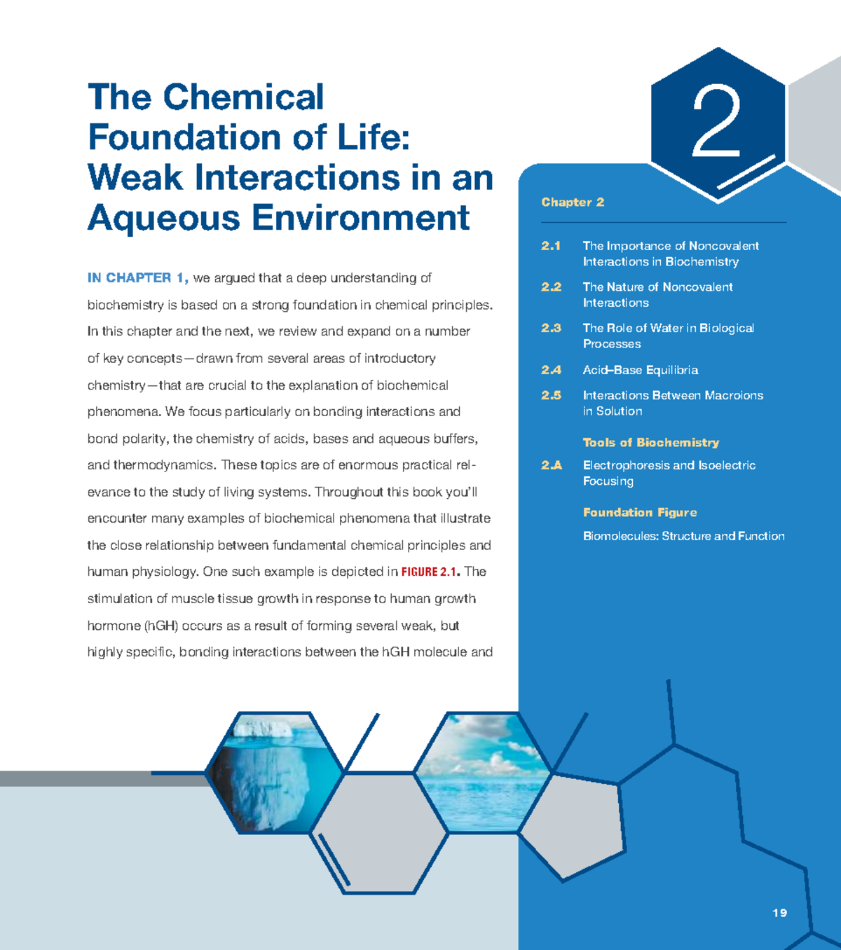 Biochemistry 2: Weak Interactions in Aqueous Environments - Studocu