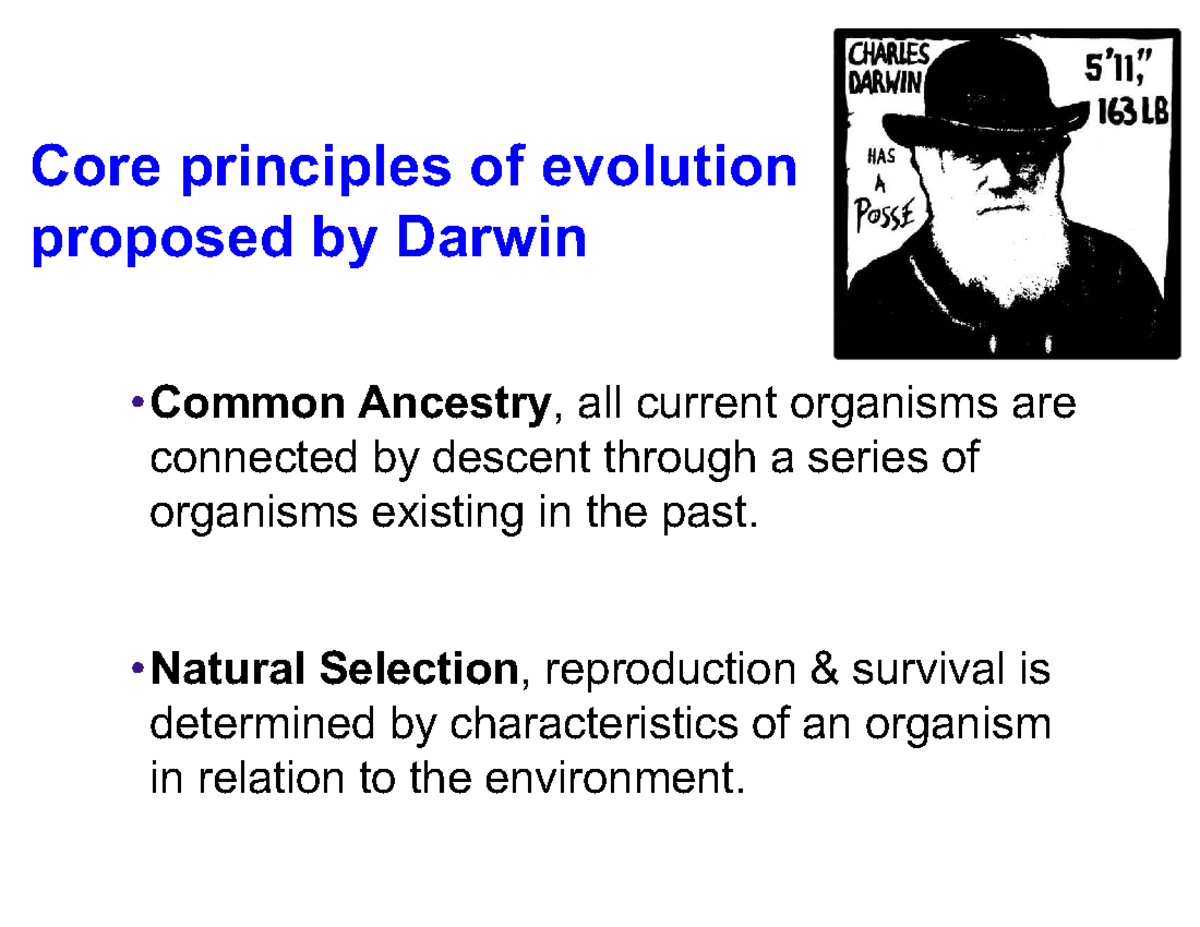 Debunking Misconceptions of Natural Selection in Evolution - Bio 101 ...