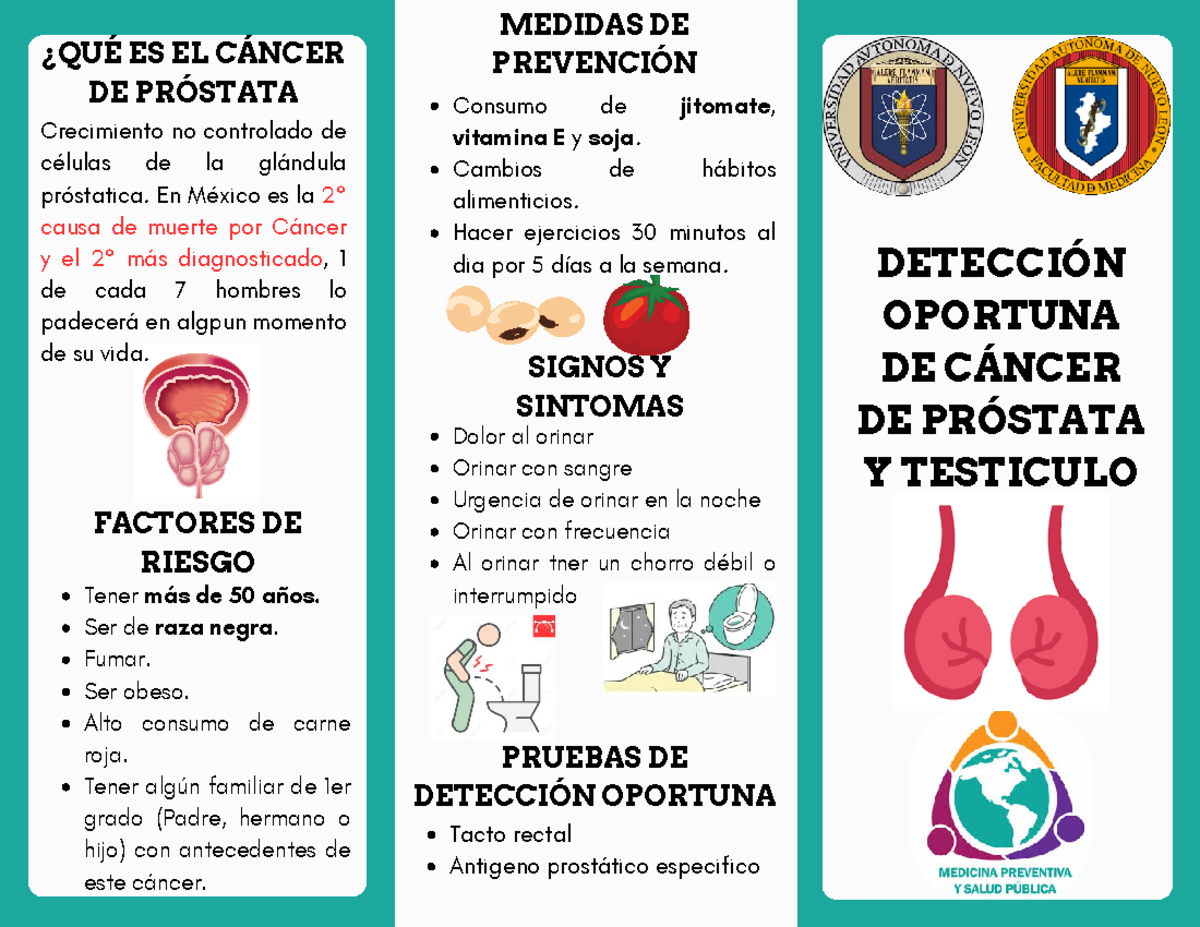 Tríptico de Cáncer de próstata y testículo - ¿QUÉ ES EL CÁNCER DE ...