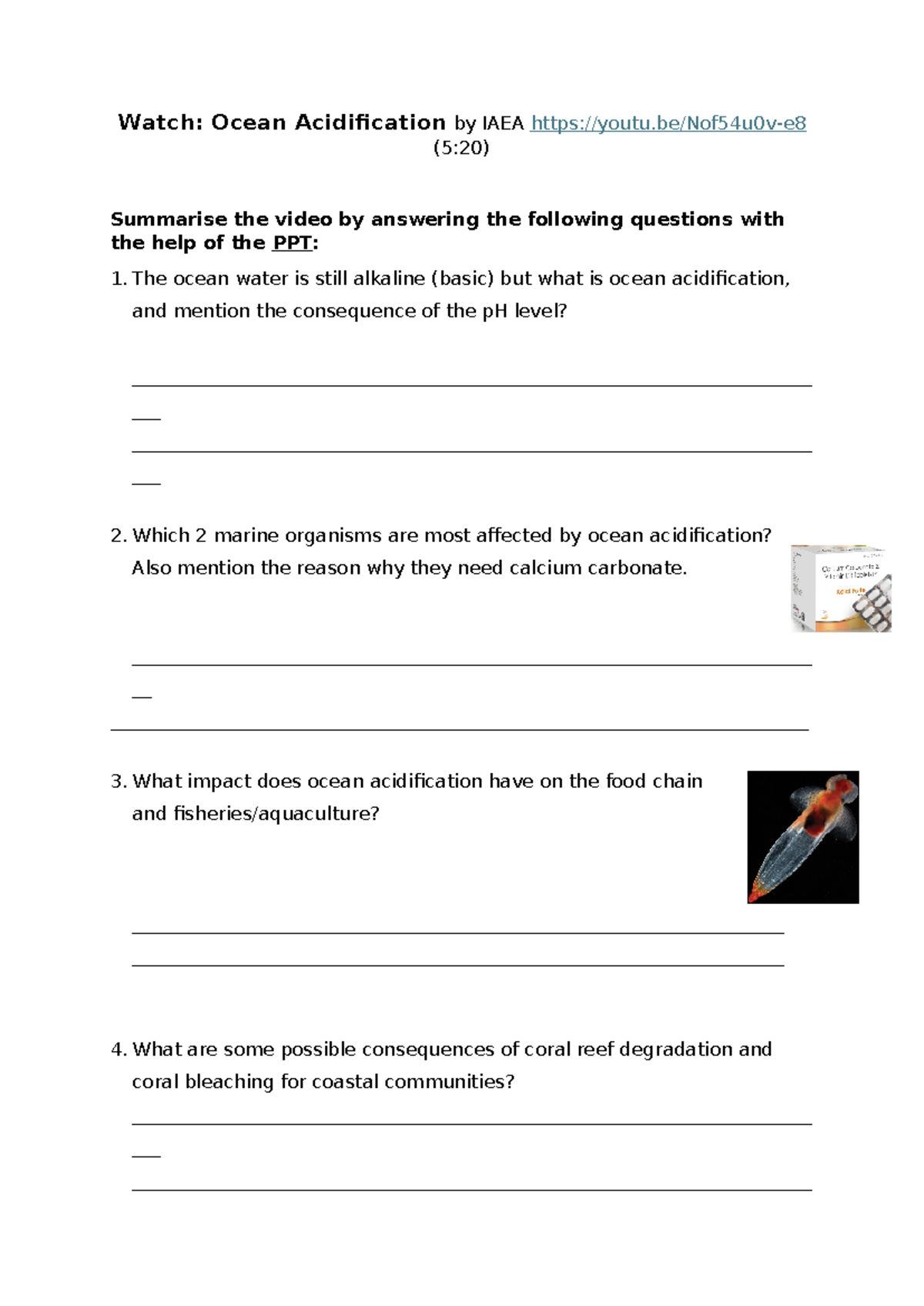 U4 Ocean Acidification: Video Summary and Key Insights - Studocu