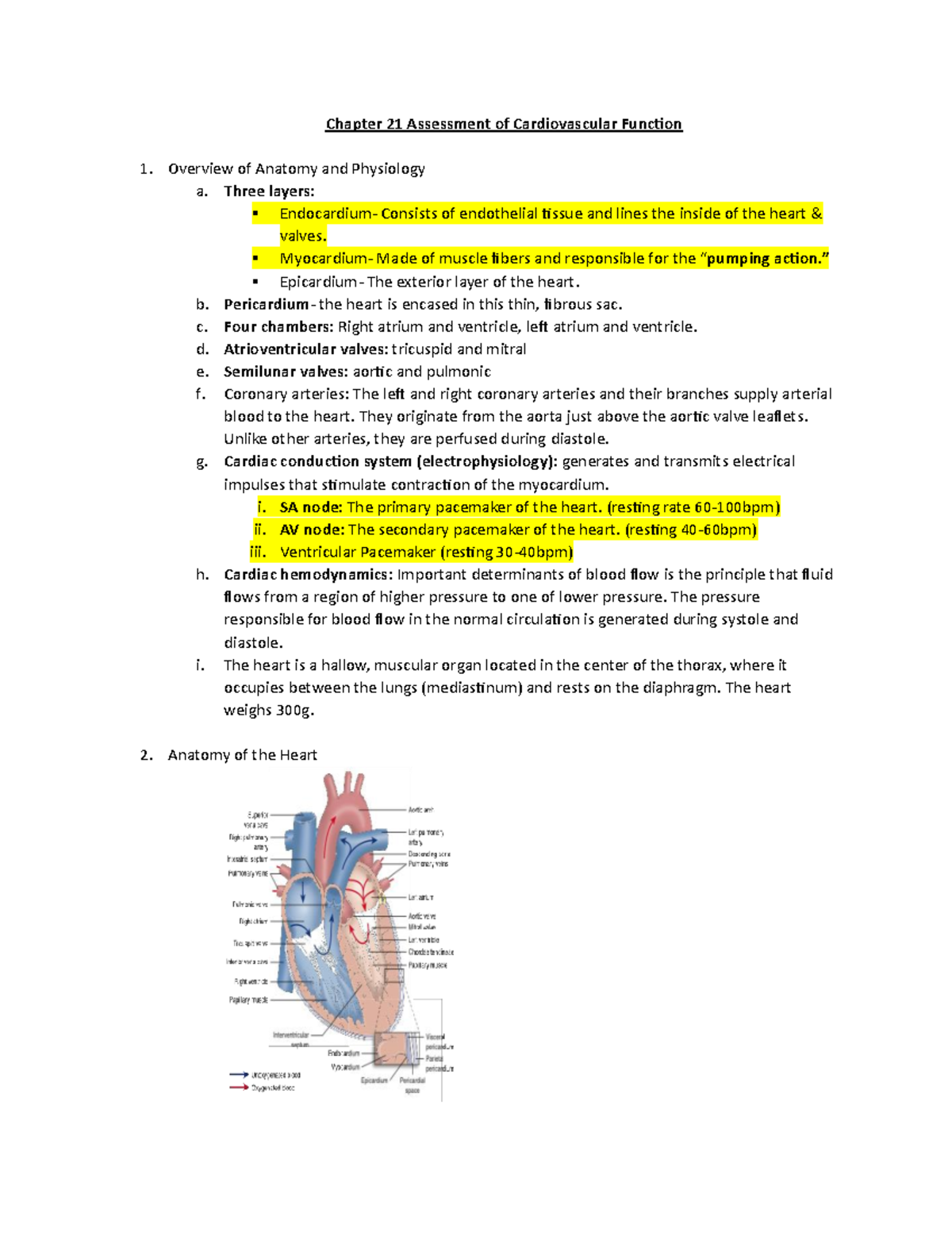 Unit 4 Med Surg notes - Chapter 21 Assessment of Cardiovascular ...