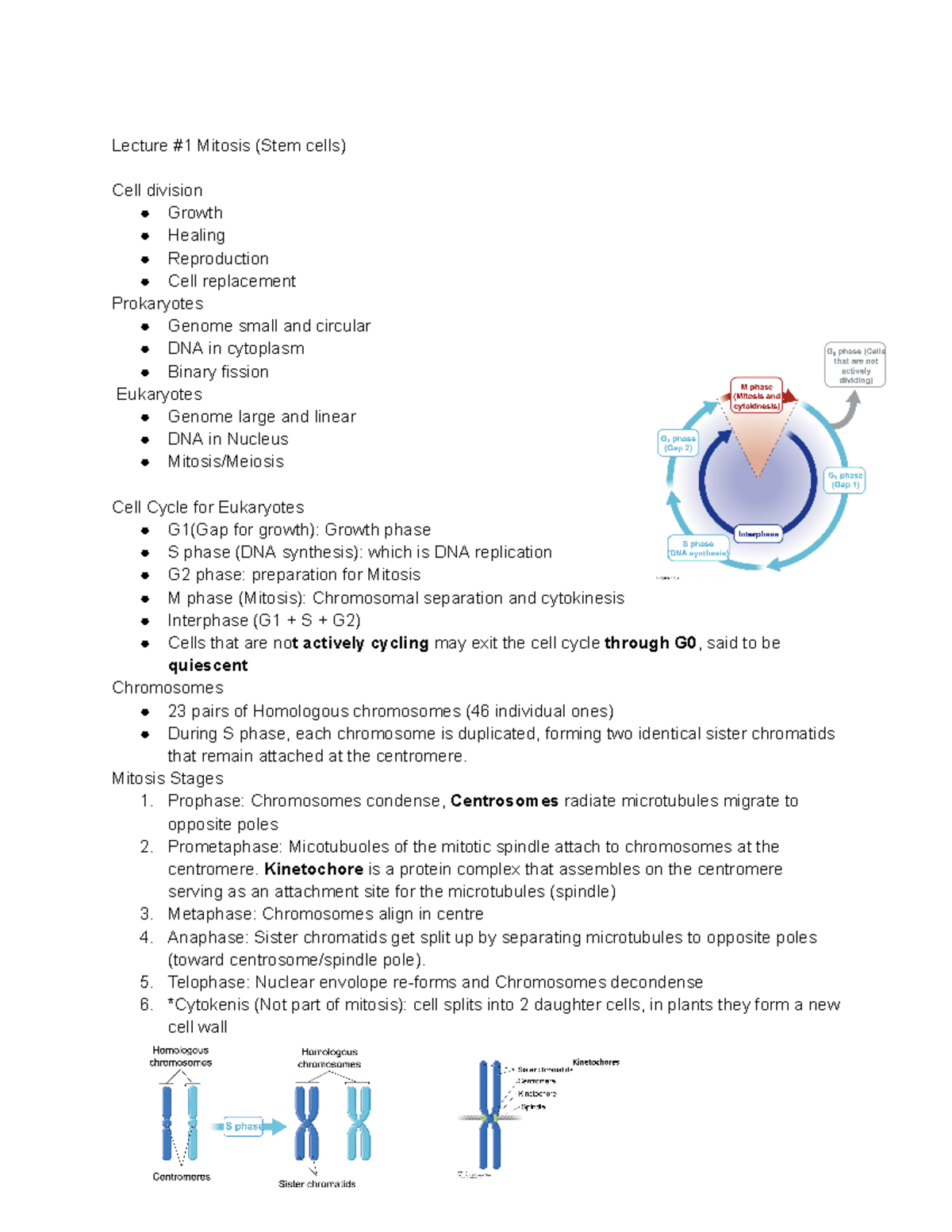 Noes For Midterm - Lecture #1 Mitosis (Stem cells) Cell division Growth ...