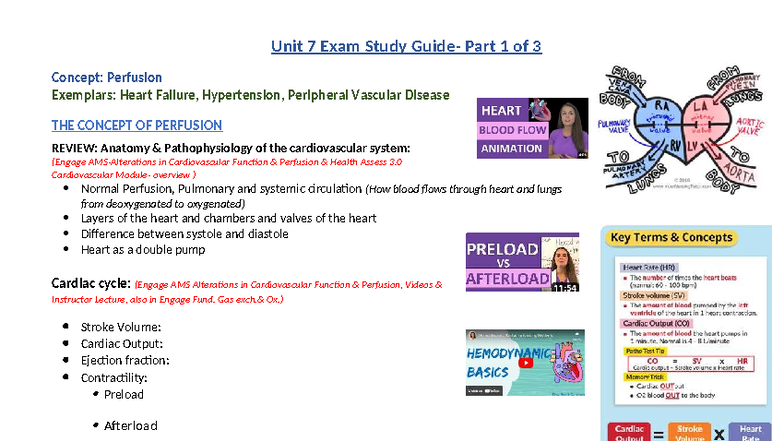 Unit 7 Exam Study: Perfusion, Hypertension & Heart Failure Meds - Studocu