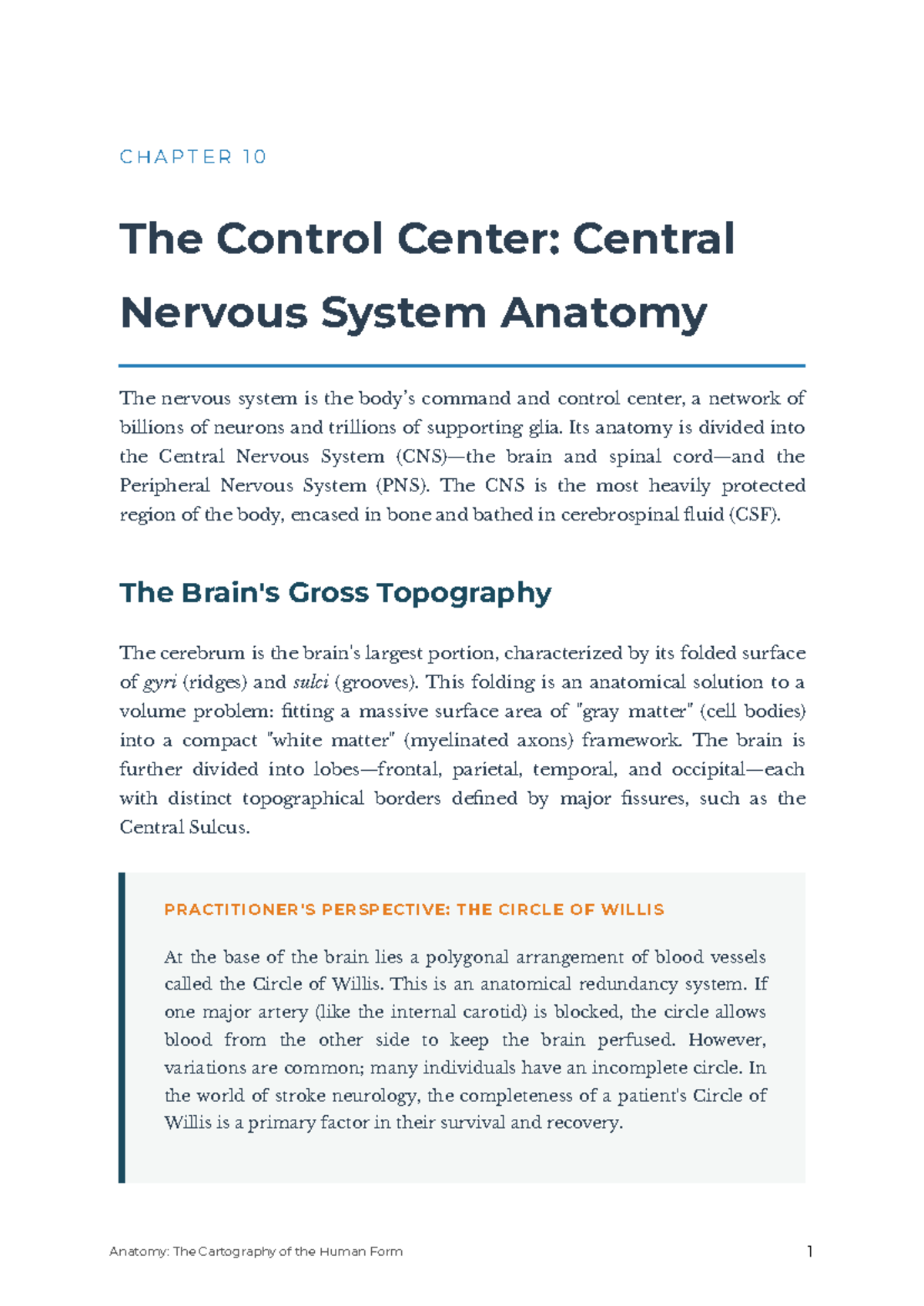 CHAPTER 10: Central Nervous System Anatomy Overview (Xkw LVofi Z 4US8Wm ...