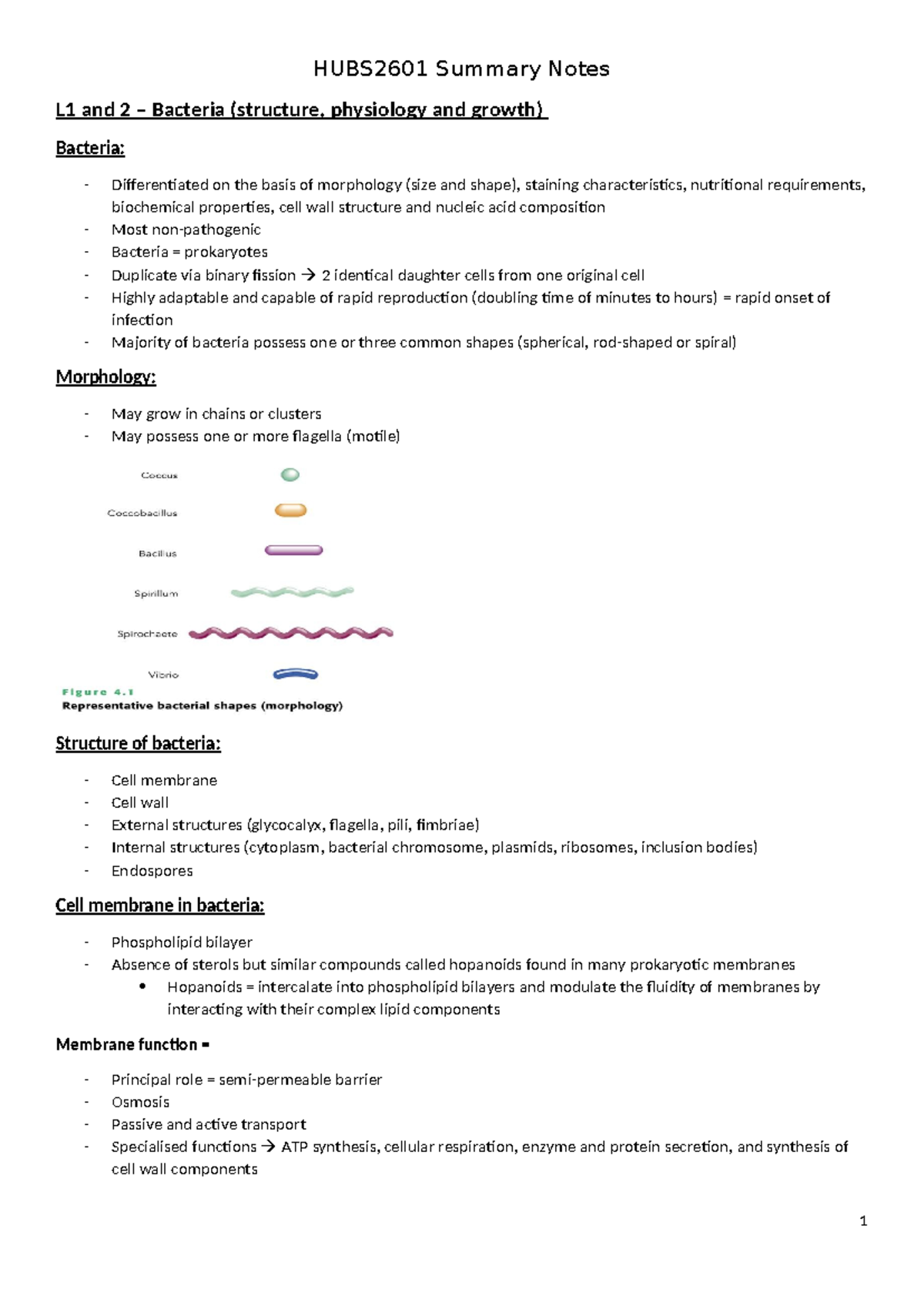 HUBS2601 Bacteriology Summary Notes: Structure, Physiology & Growth ...