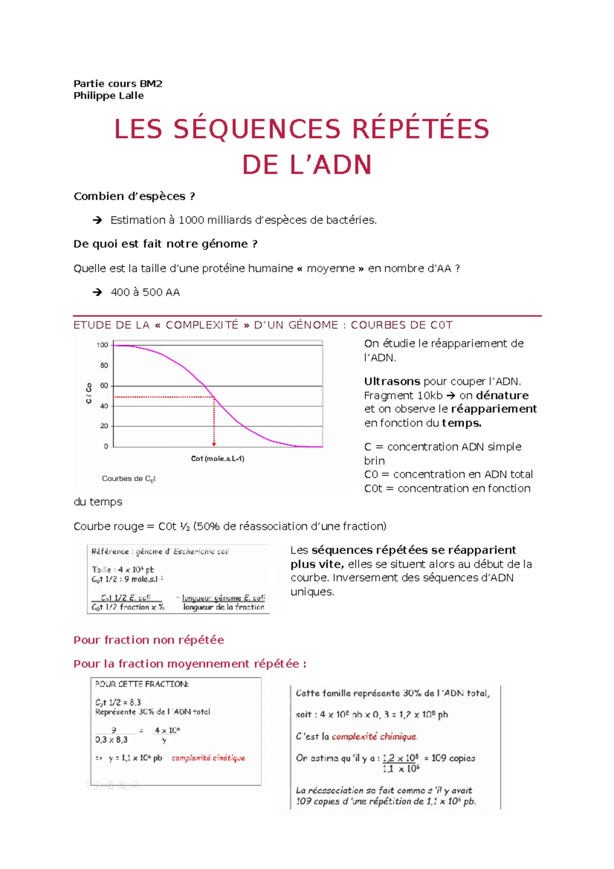 Séquences répétées ADN - Partie cours BM Philippe Lalle LES SÉQUENCES ...
