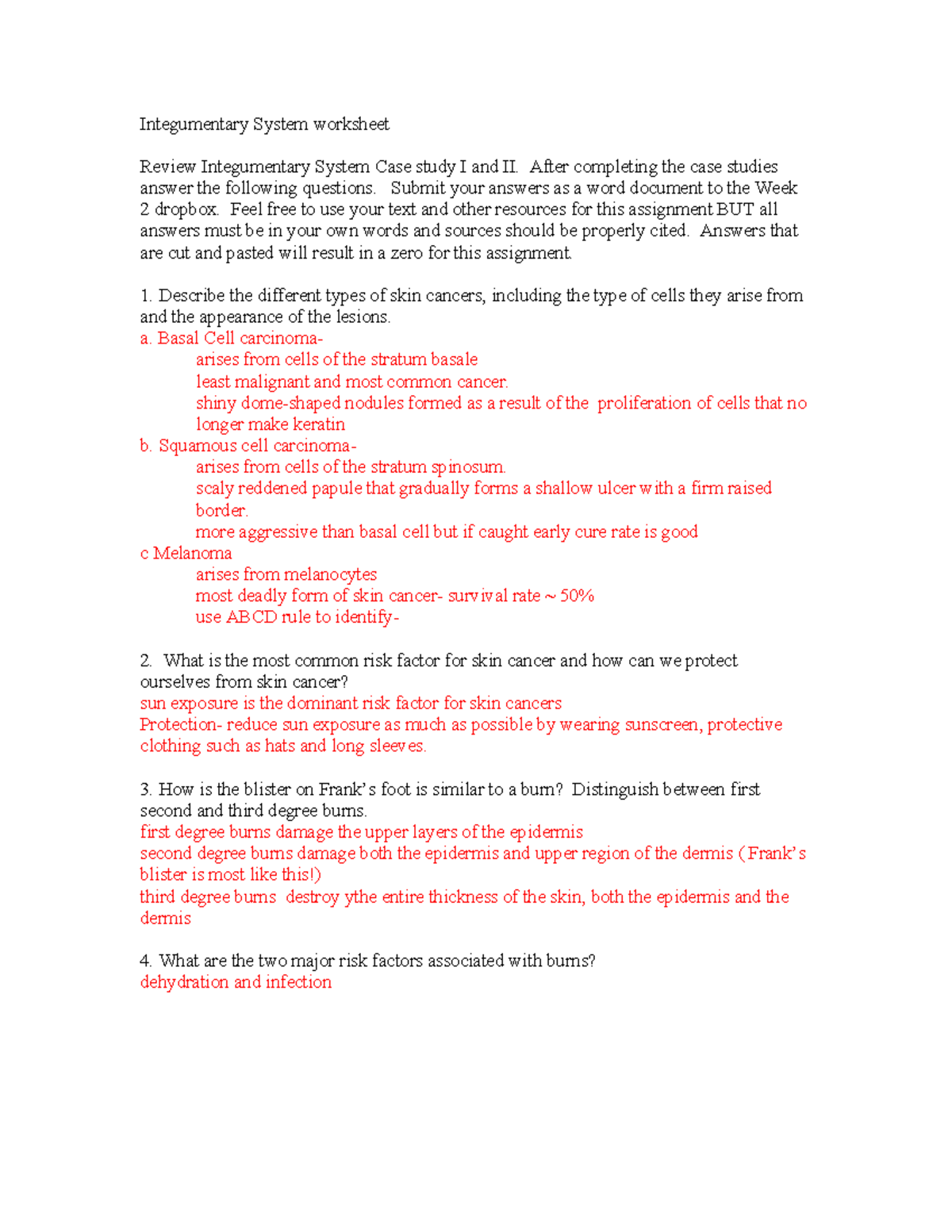 Integumentary System Lab 2: Skin Cancer and Burns Solutions - Studocu