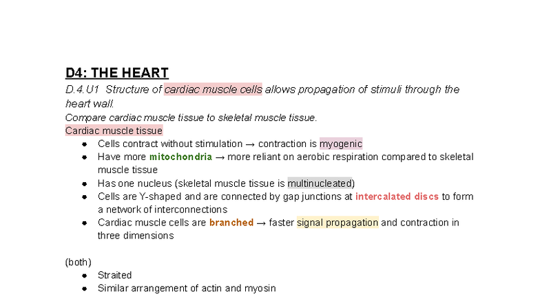 D4 IB - Cardiac Muscle Structure & Function: A Comprehensive Overview ...
