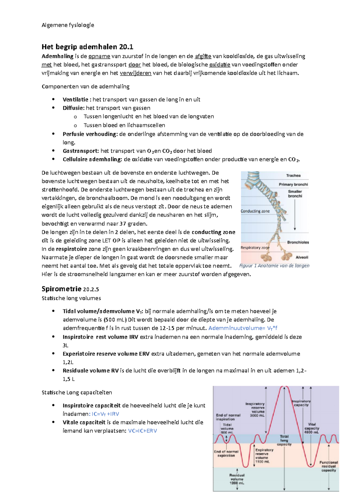 Fysiologie 1 ademhaling - Figuur 1 Anatomie van de longen Het begrip ...