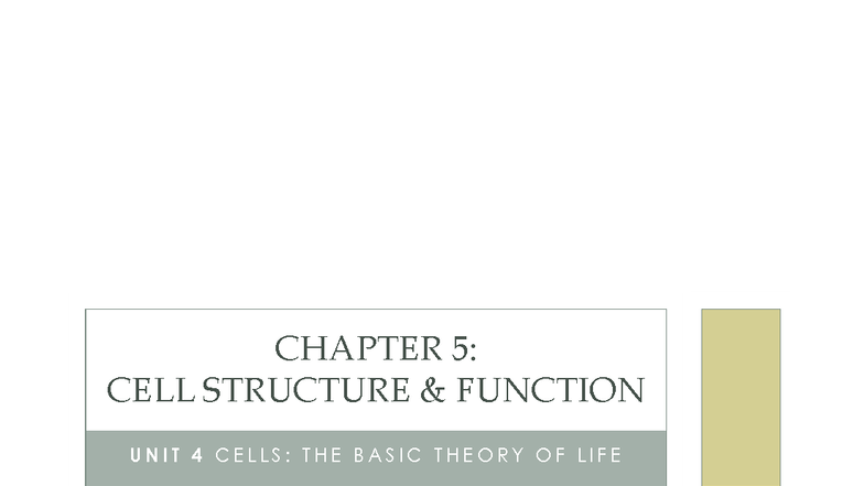 CHAPTER 5: CELL STRUCTURE FUNCTION UNIT 4 CELLS 6.3 ORGANELLES OVERVIEW - Studocu