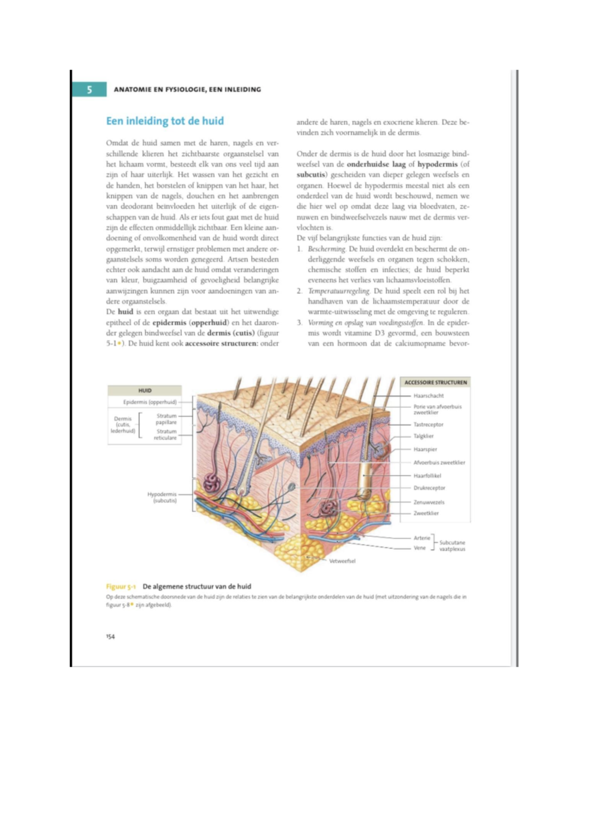 5 ANATOMIE EN FYSIOLOGIE, EEN INLEIDING: DE FUNCTIES EN STRUCTUUR VAN ...