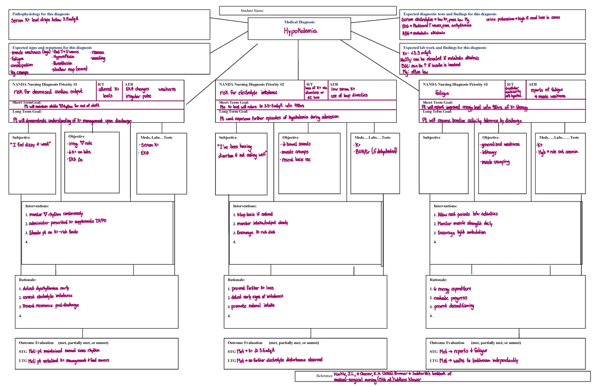 Anemias Concept Maps: A Comprehensive Overview - Studocu