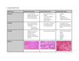 BIOL 205 - VCU - Basic Human Anatomy - Studocu