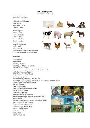 Los Alimentos en Quechua - LOS ALIMENTOS CASTELLANO QUECHUA CASTELLANO ...