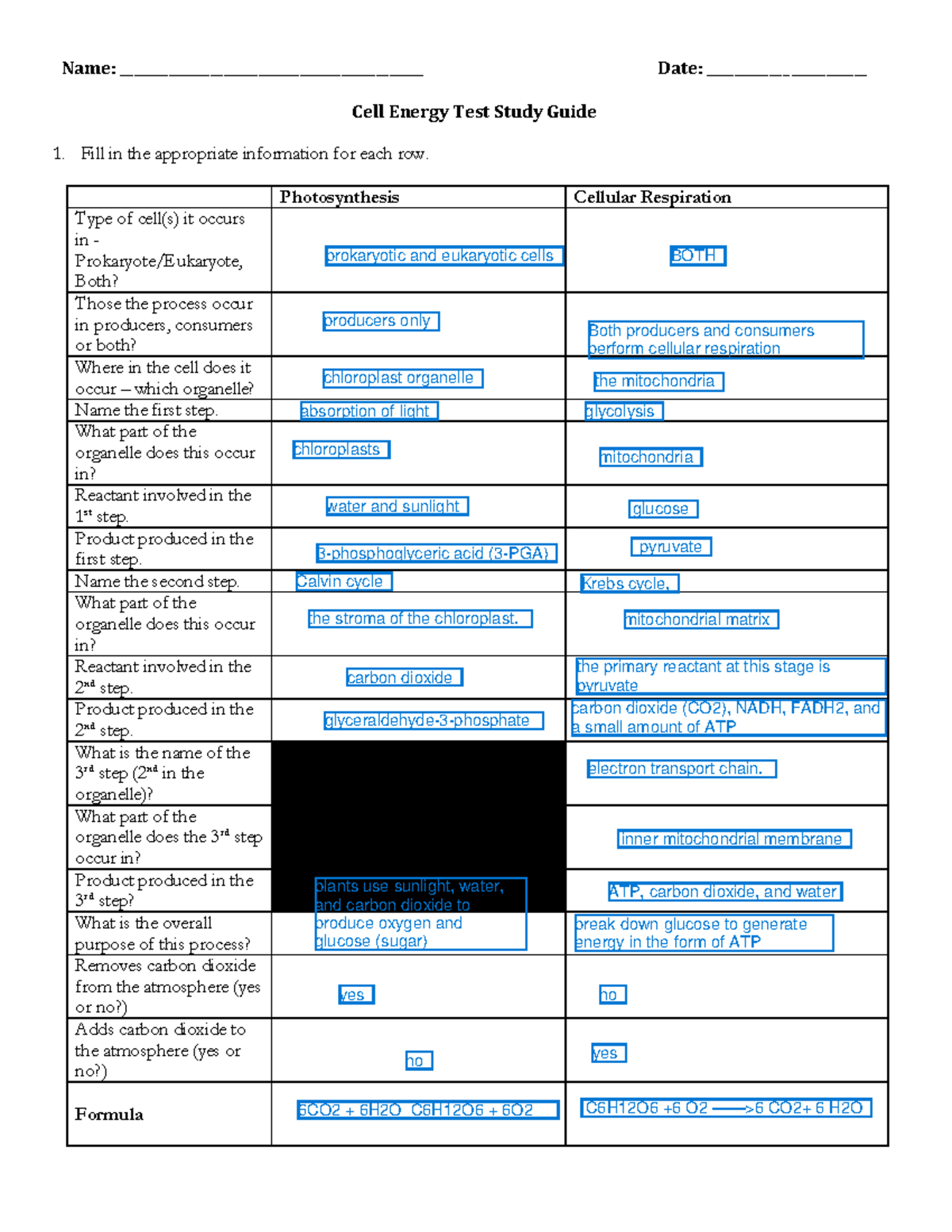 Cell Energy Test Study Guide: Photosynthesis & Respiration Concepts ...