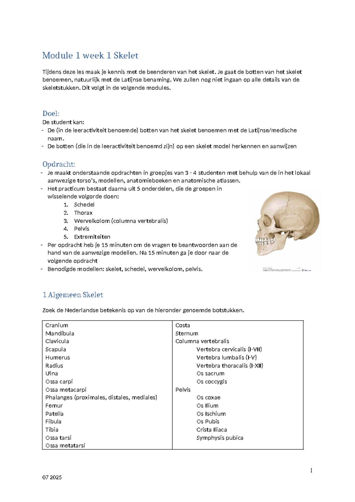 M1 Introductie tot het Skelet: Anatomie en Botten Verkennen - Studeersnel