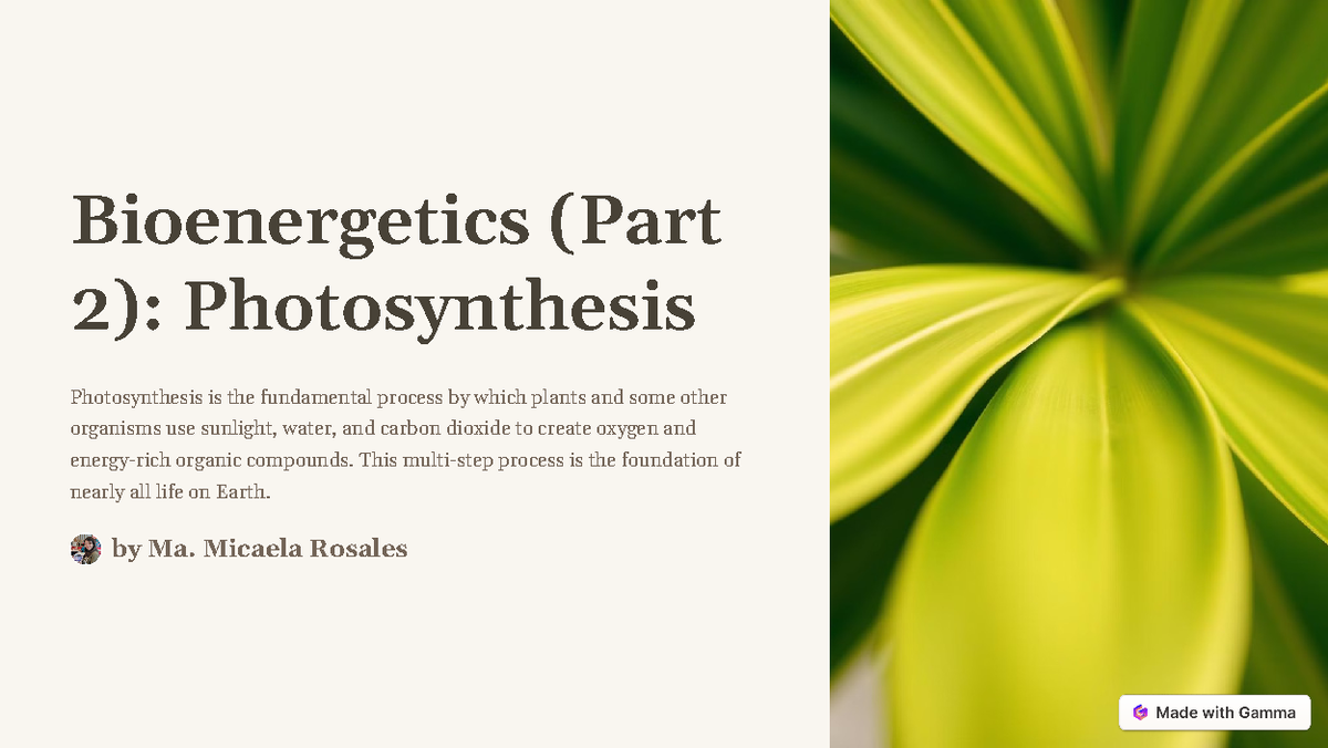 Bioenergetics-Part-2-Photosynthesis - Bioenergetics (Part 2 ...
